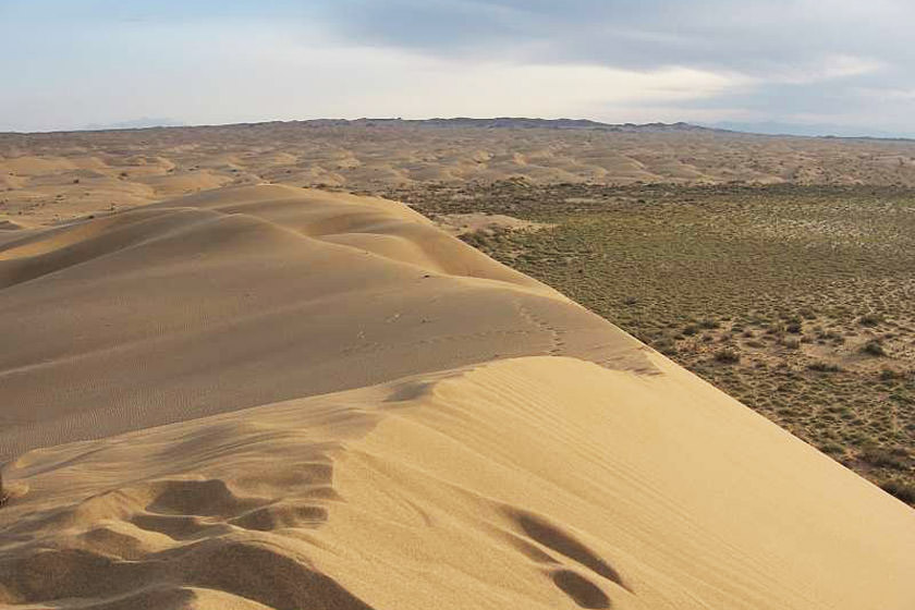 ریگ بلند کجاست | عکس + آدرس و هر آنچه پیش از رفتن باید بدانید - کجارو